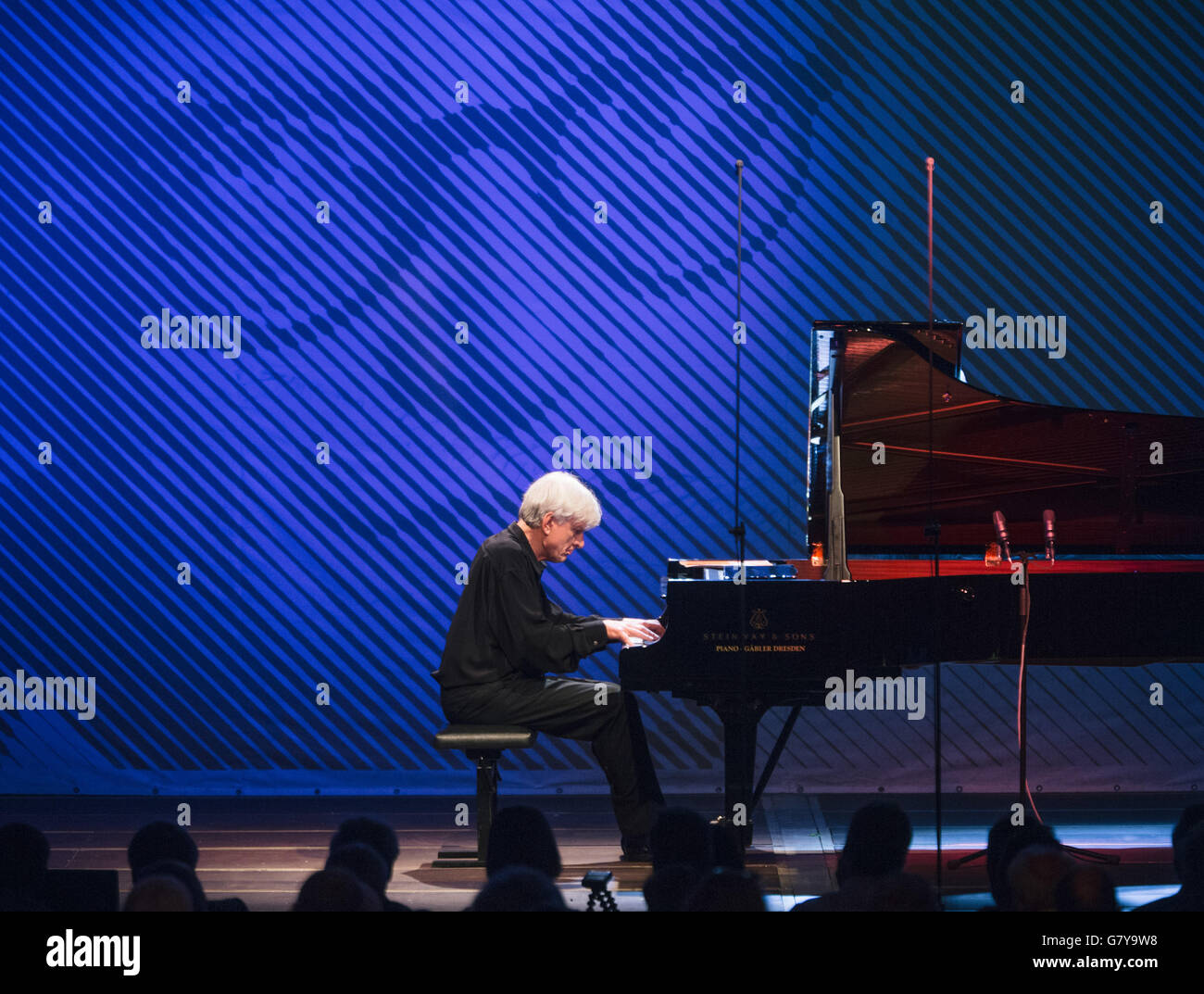 Gohrisch, Germany. 25th June, 2016. Pianist Peter Roesel performs ...