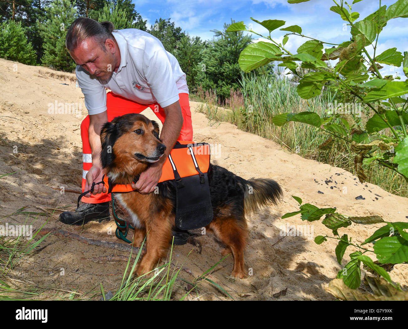 Dog handler Christian Arlt of the German Red Cross (DRK) puts a ...