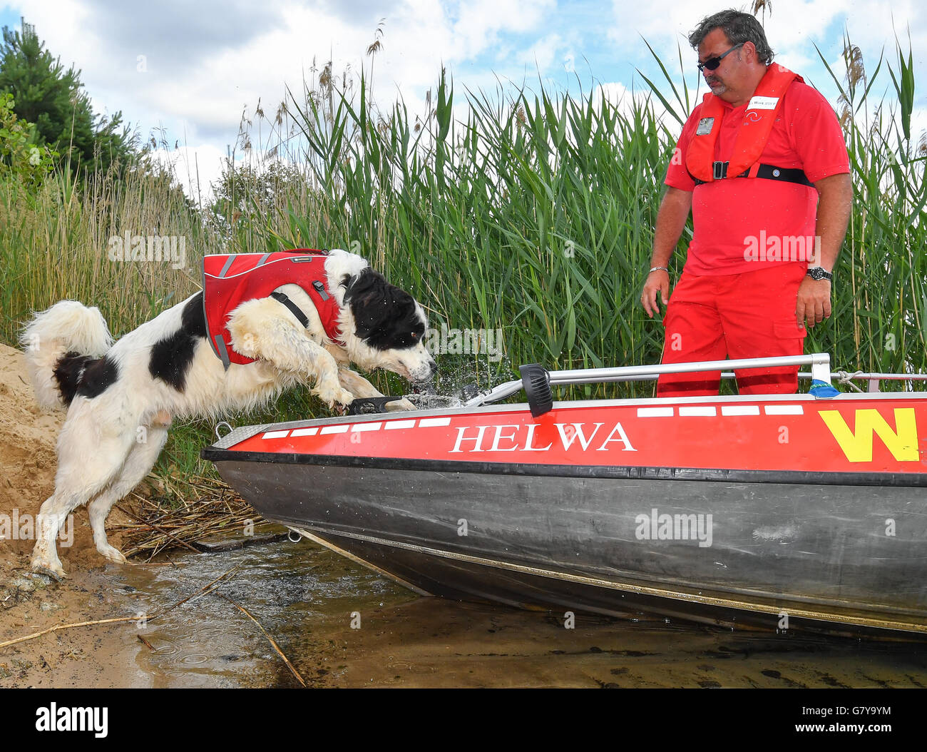 Water Search Dogs