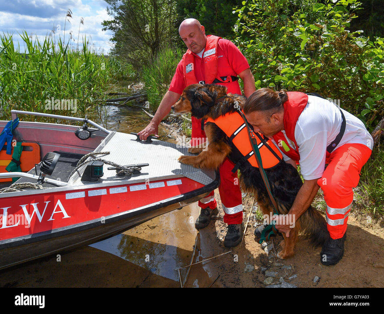 Dog handler Christian Arlt (R) of the German Red Cross (DRK) helps his ...
