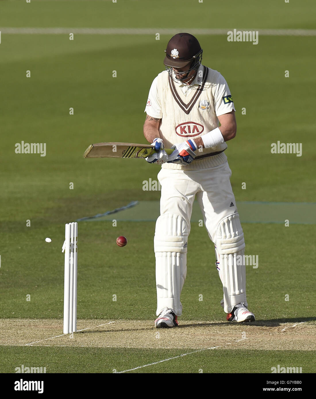 Dead cricket hi-res stock photography and images - Alamy