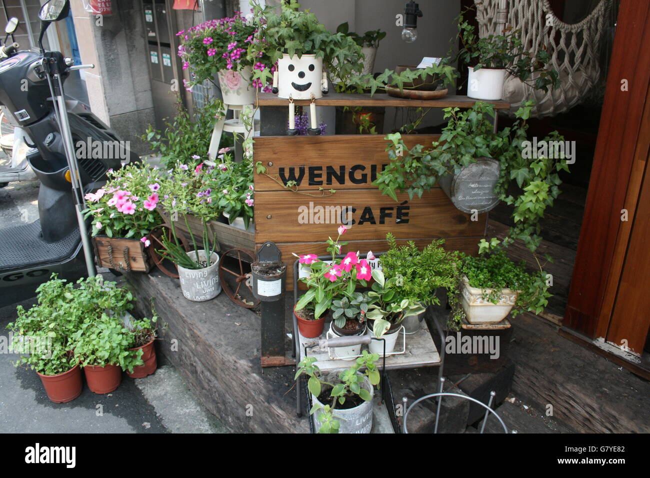 Wengu hi-res stock photography and images - Alamy