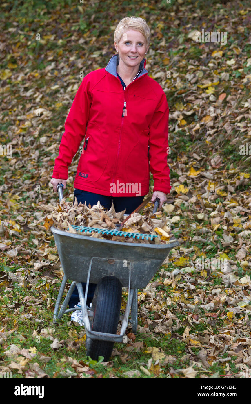 Gardening, woman pushing a wheelbarrow full of leaves Stock Photo - Alamy