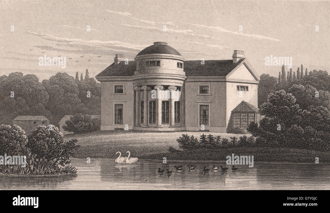 The holme regents park hi-res stock photography and images - Alamy