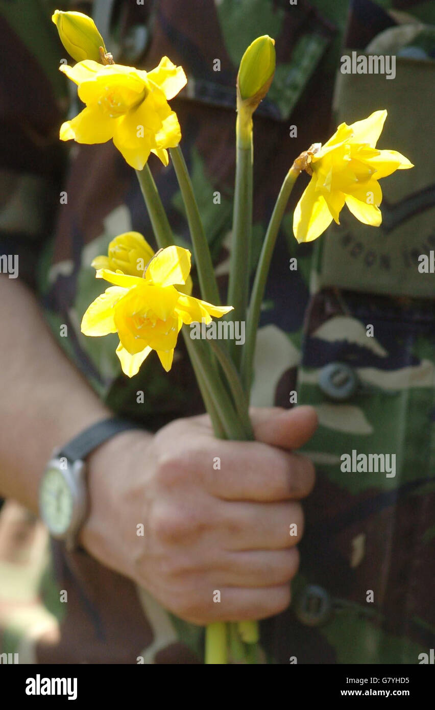 George solomou hi-res stock photography and images - Alamy