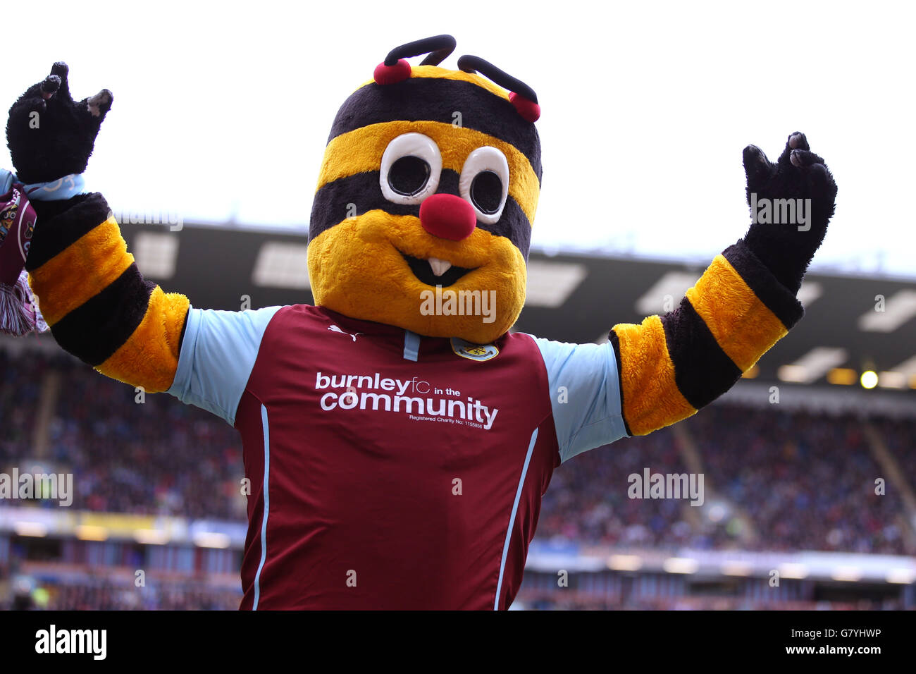 Burnley club mascot bertie bee hi-res stock photography and images - Alamy