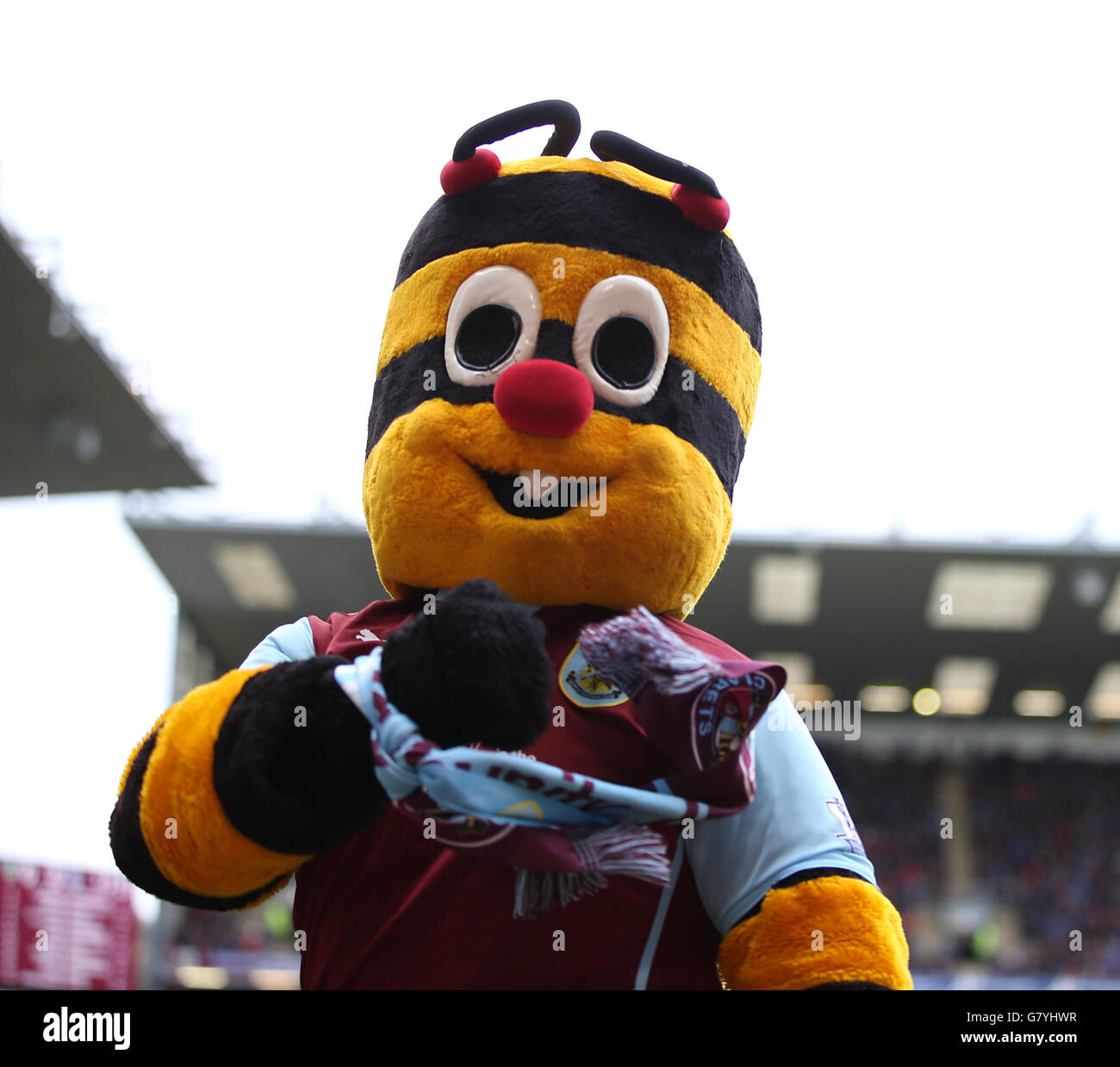 Burnley club mascot bertie bee hi-res stock photography and images - Alamy