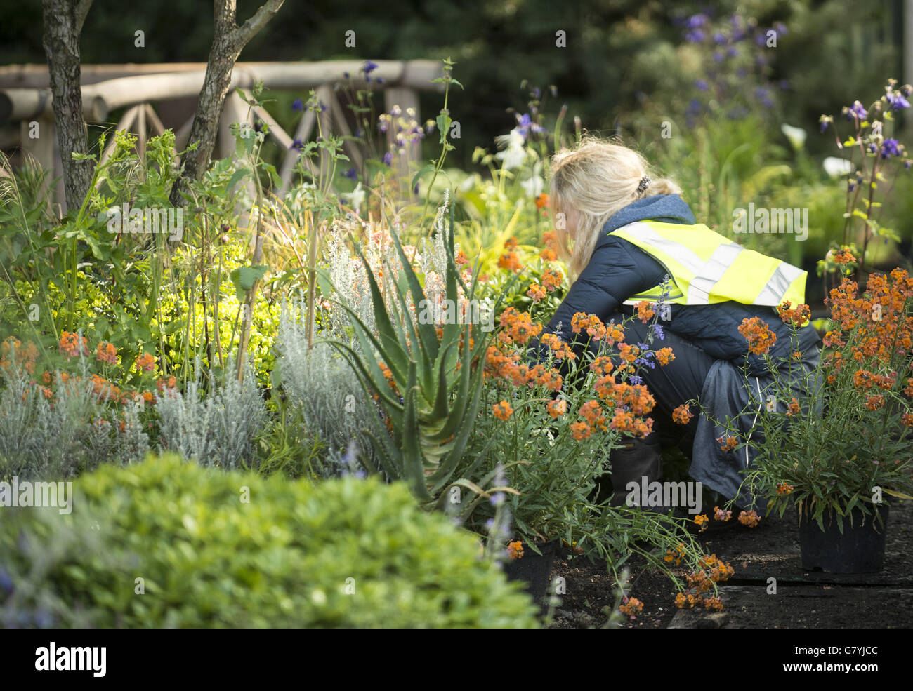 Sentebale chelsea 2015 hi-res stock photography and images - Alamy