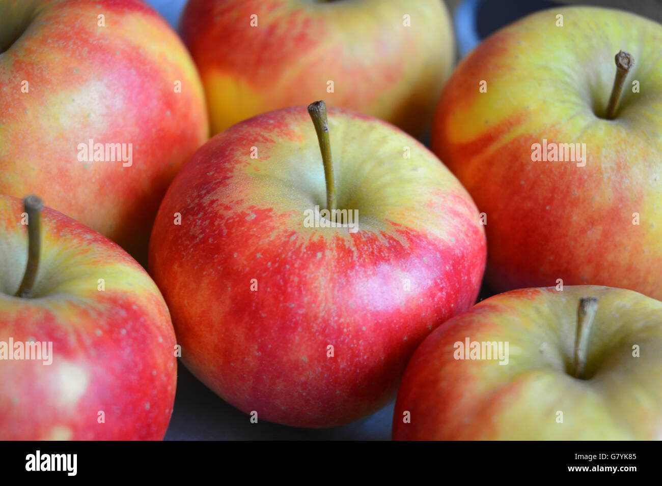close up of fresh red , yellow and green apples Stock Photo - Alamy