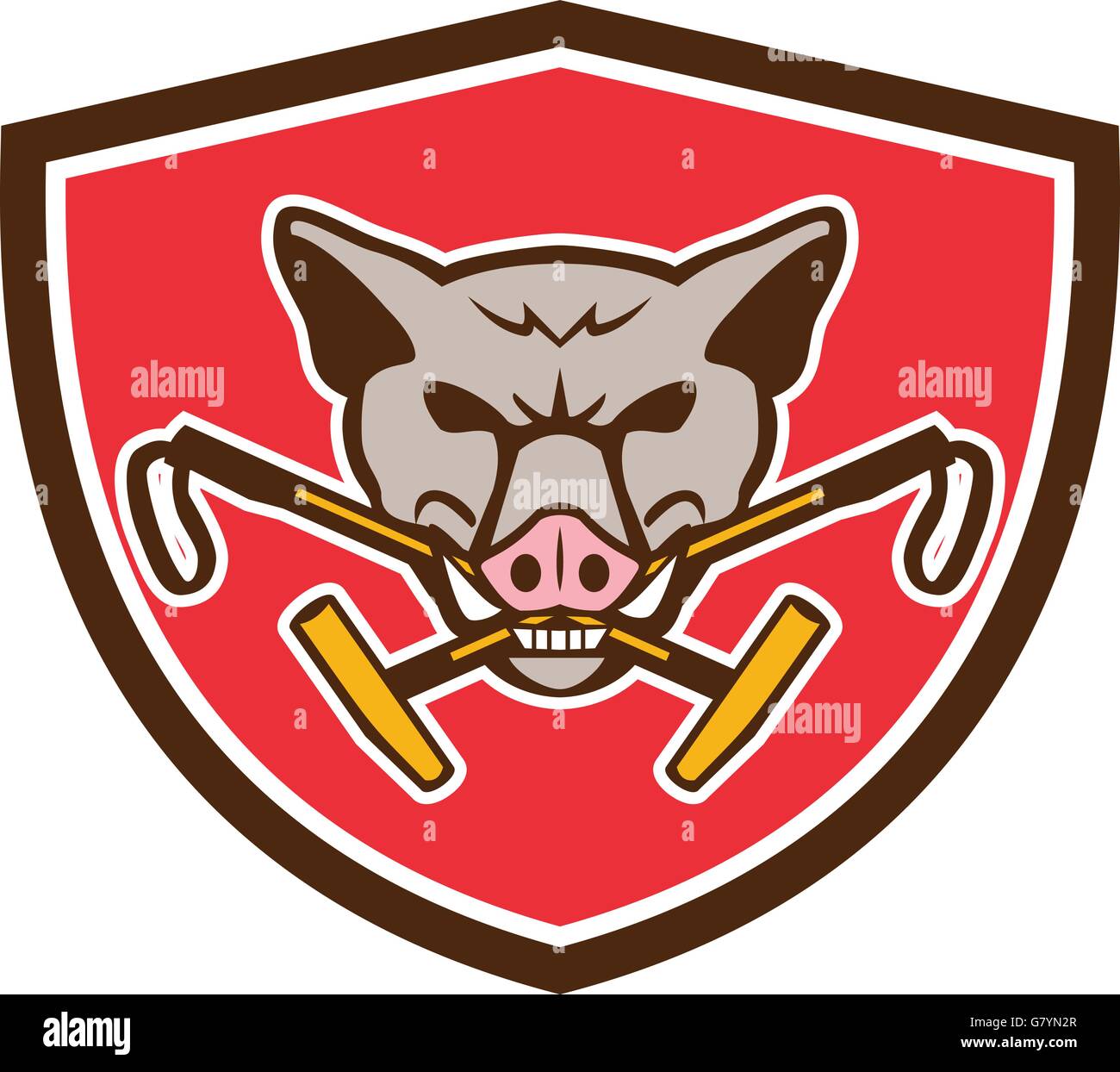 Angry razorback wild pig hog hi-res stock photography and images - Alamy