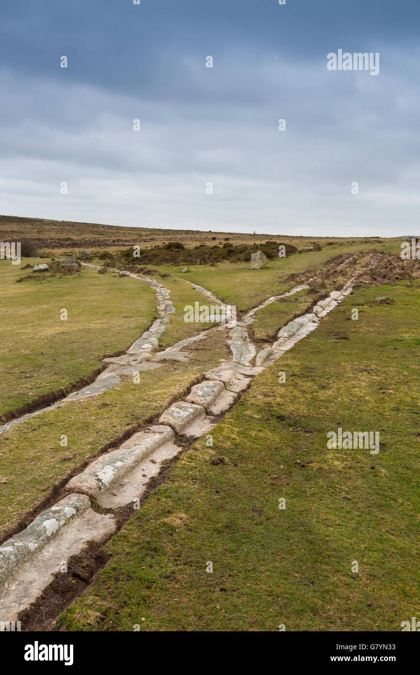 The uncovered remains of a Haytor tramway 'junction' on Dartmoor, Devon ...