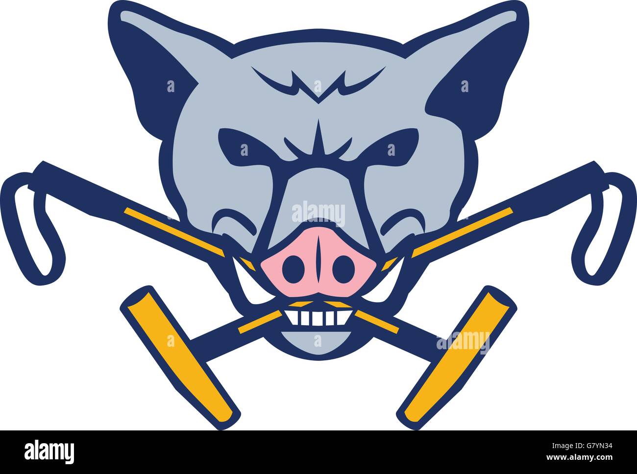 Angry razorback wild pig hog hi-res stock photography and images - Alamy