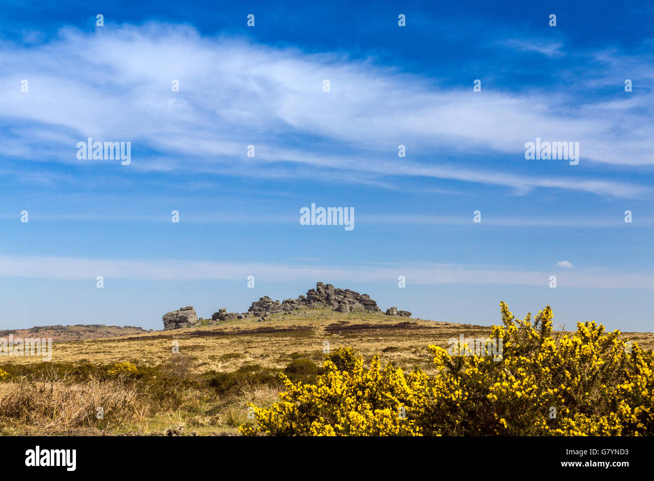 The distinctive granite profile of Hound Tor on Dartmoor, Devon ...