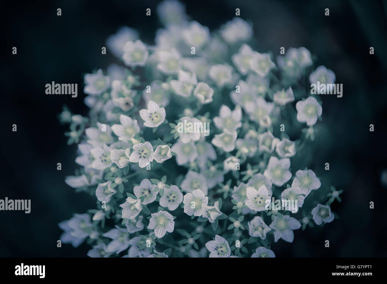 Beautiful spring colors Stock Photo - Alamy