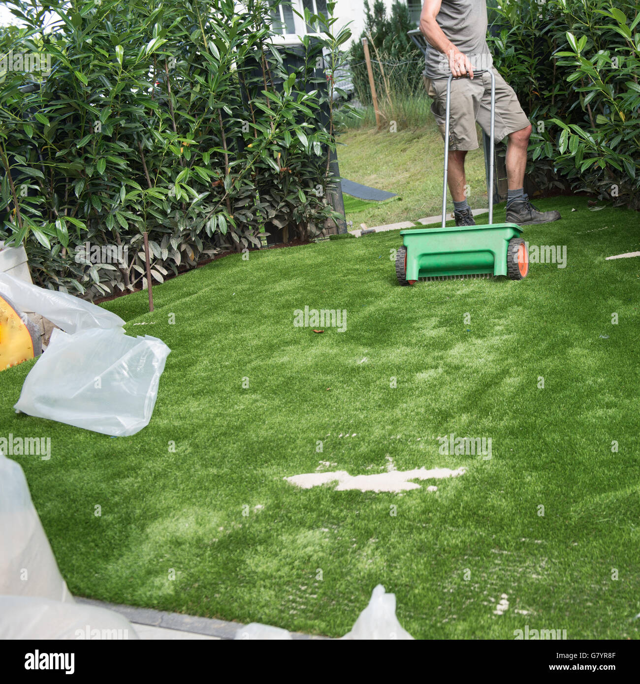 professional gardener puts sand on artificial turf Stock Photo - Alamy