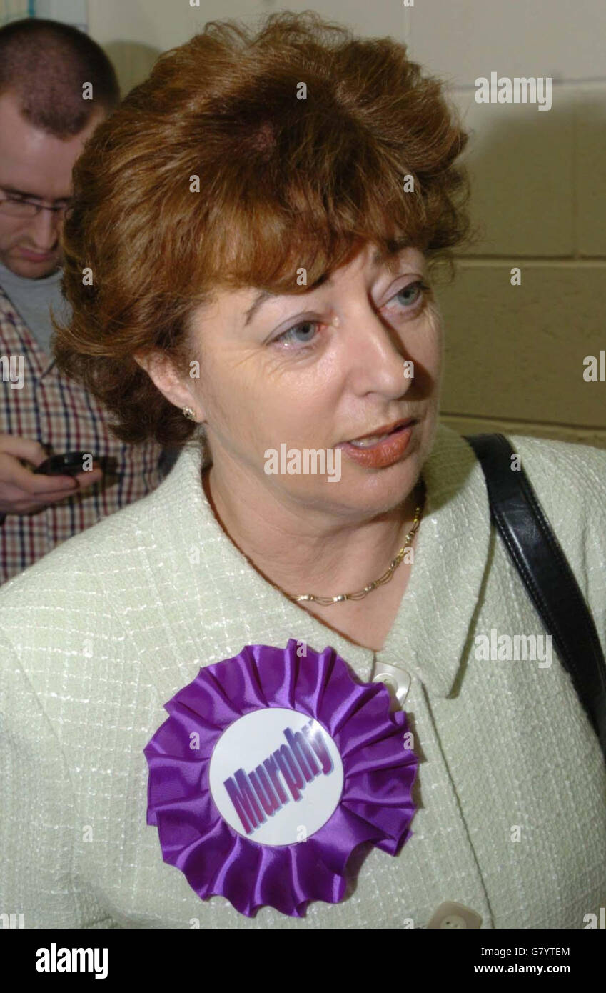 North Kildare by- election Stock Photo - Alamy