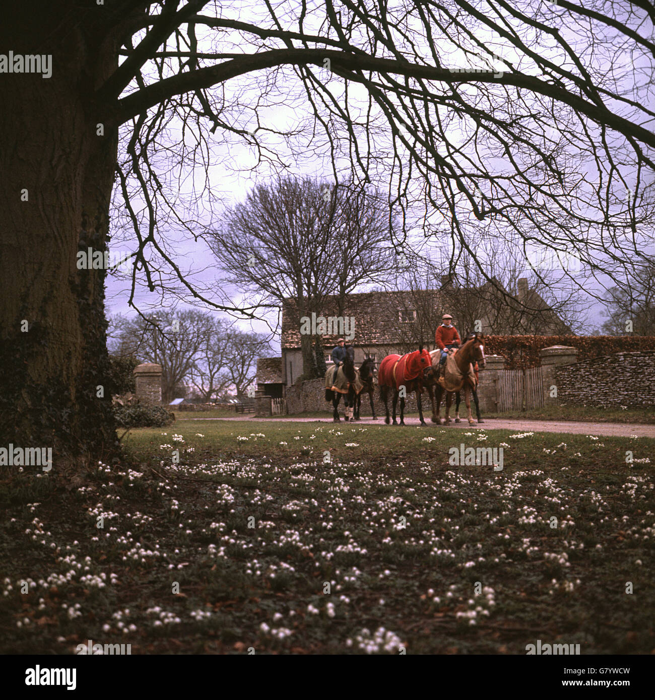 Morgans walk hi-res stock photography and images - Alamy