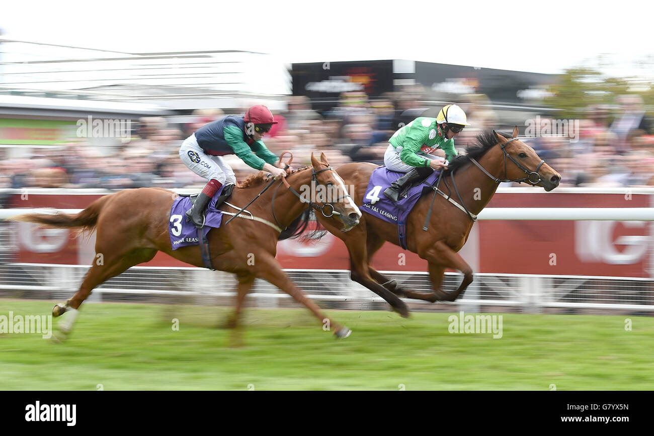 Rogues gallery hi-res stock photography and images - Alamy