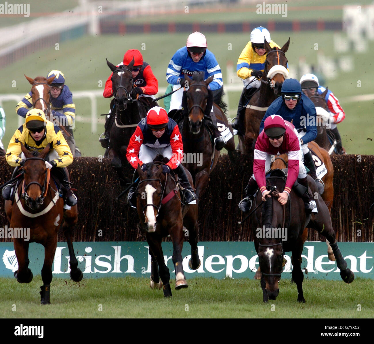 Horse Racing - Cheltenham Festival 2005 - Cheltenham Racecourse. Horses ...