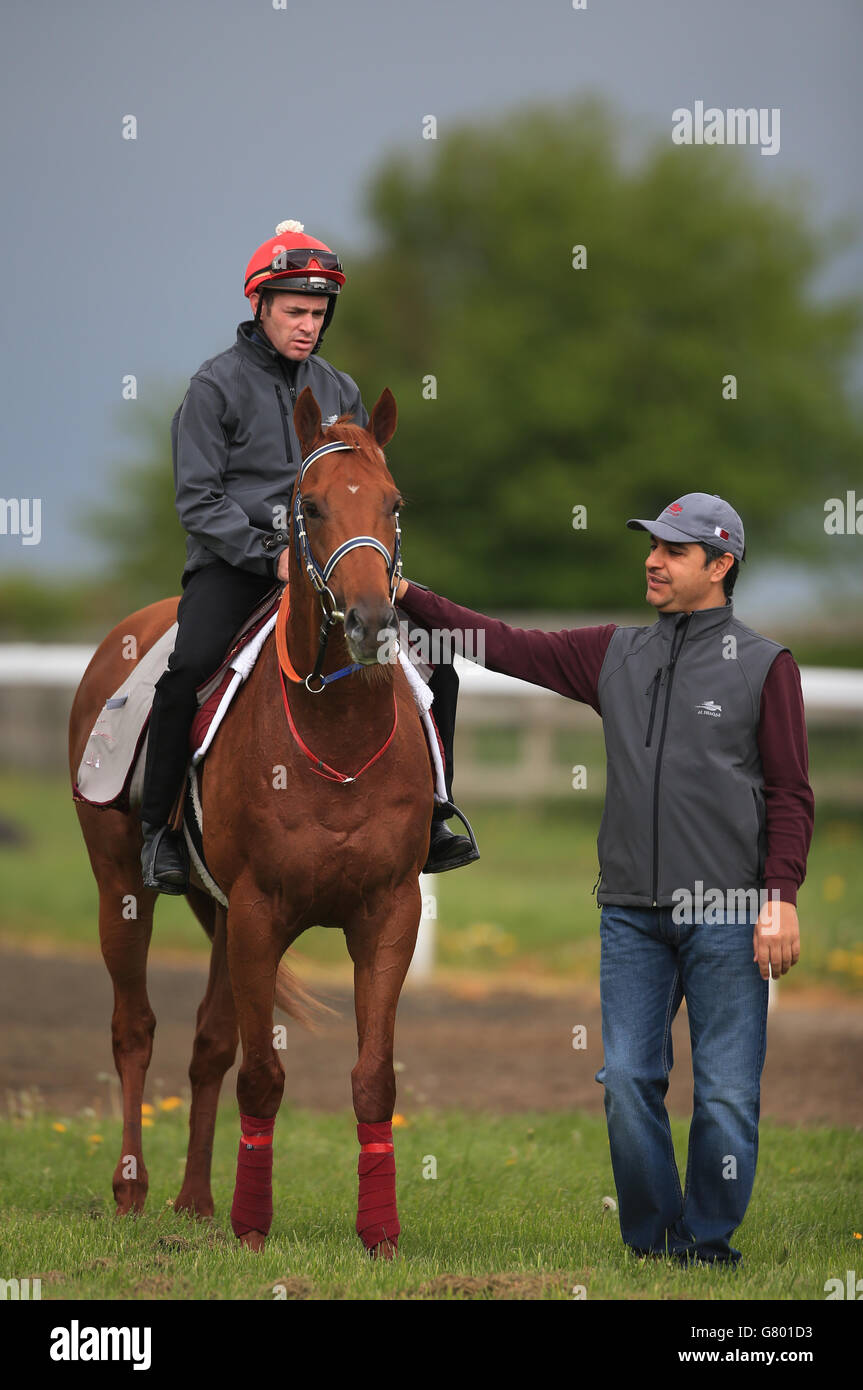 Oliver sherwood stables visit hi-res stock photography and images - Alamy