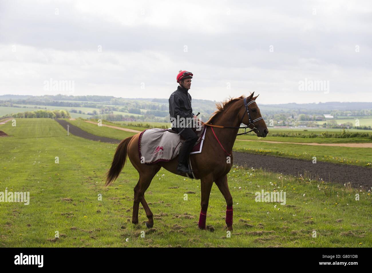 Horse racing oliver sherwood stables visit hi-res stock photography and ...