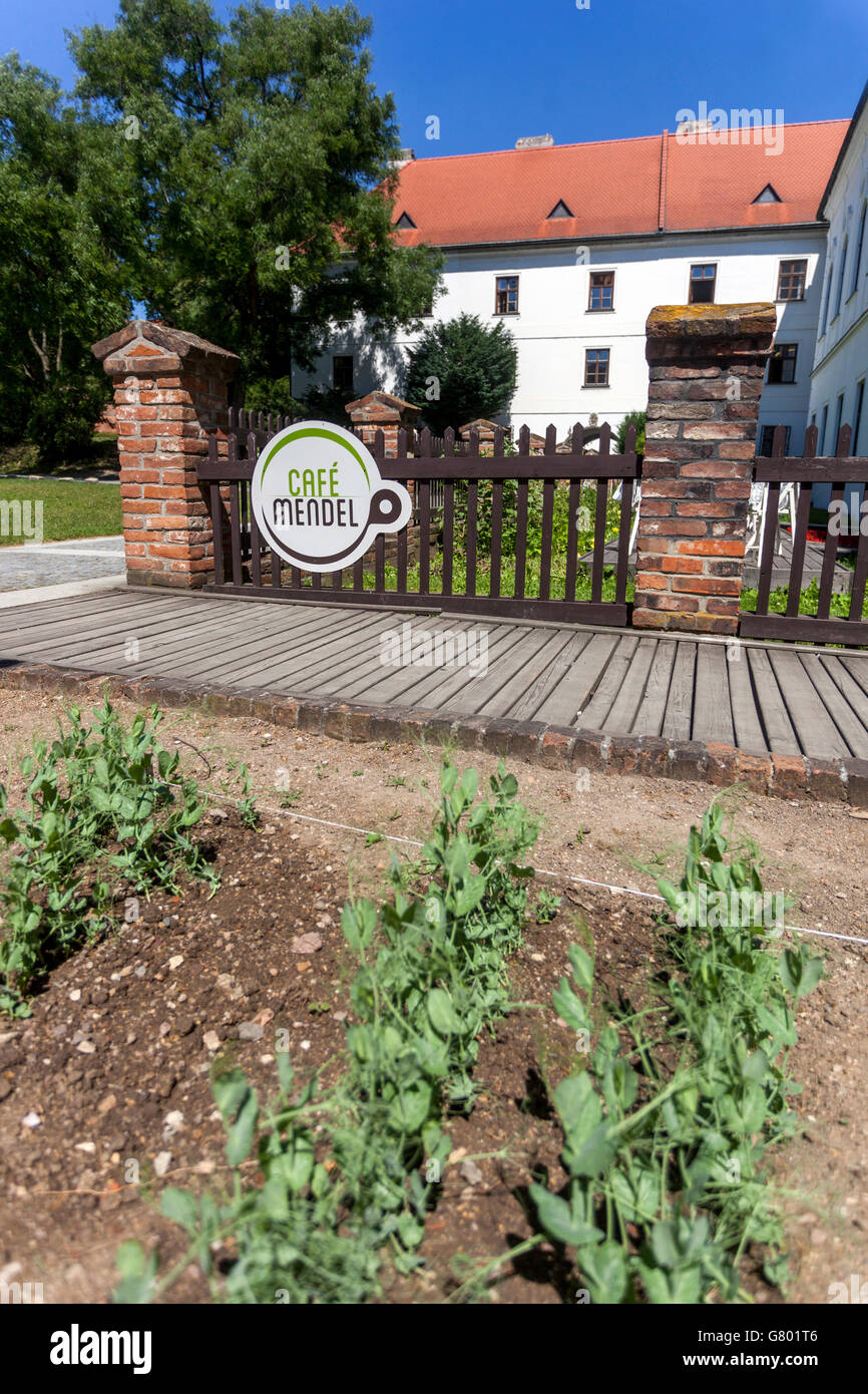 Gregor Mendel Garden