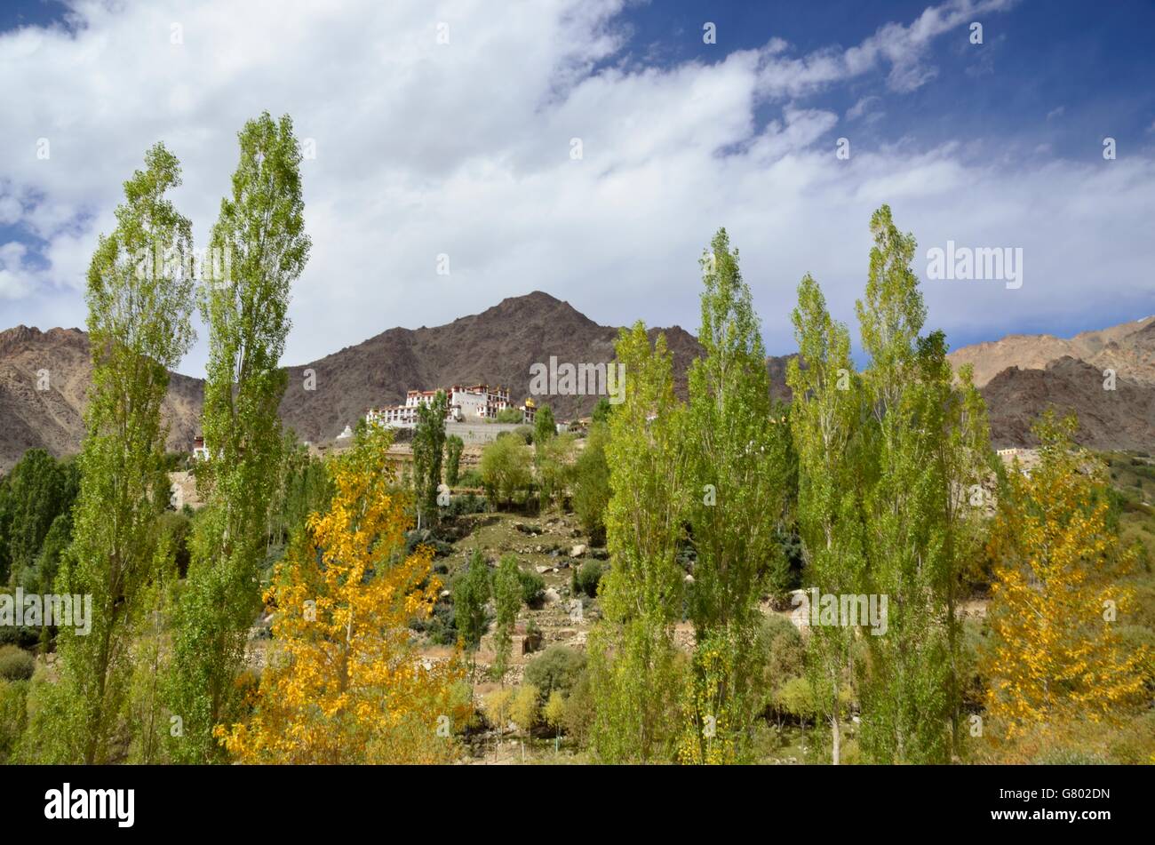 Likir Monastery, near Leh, Ladakh, India Stock Photo - Alamy
