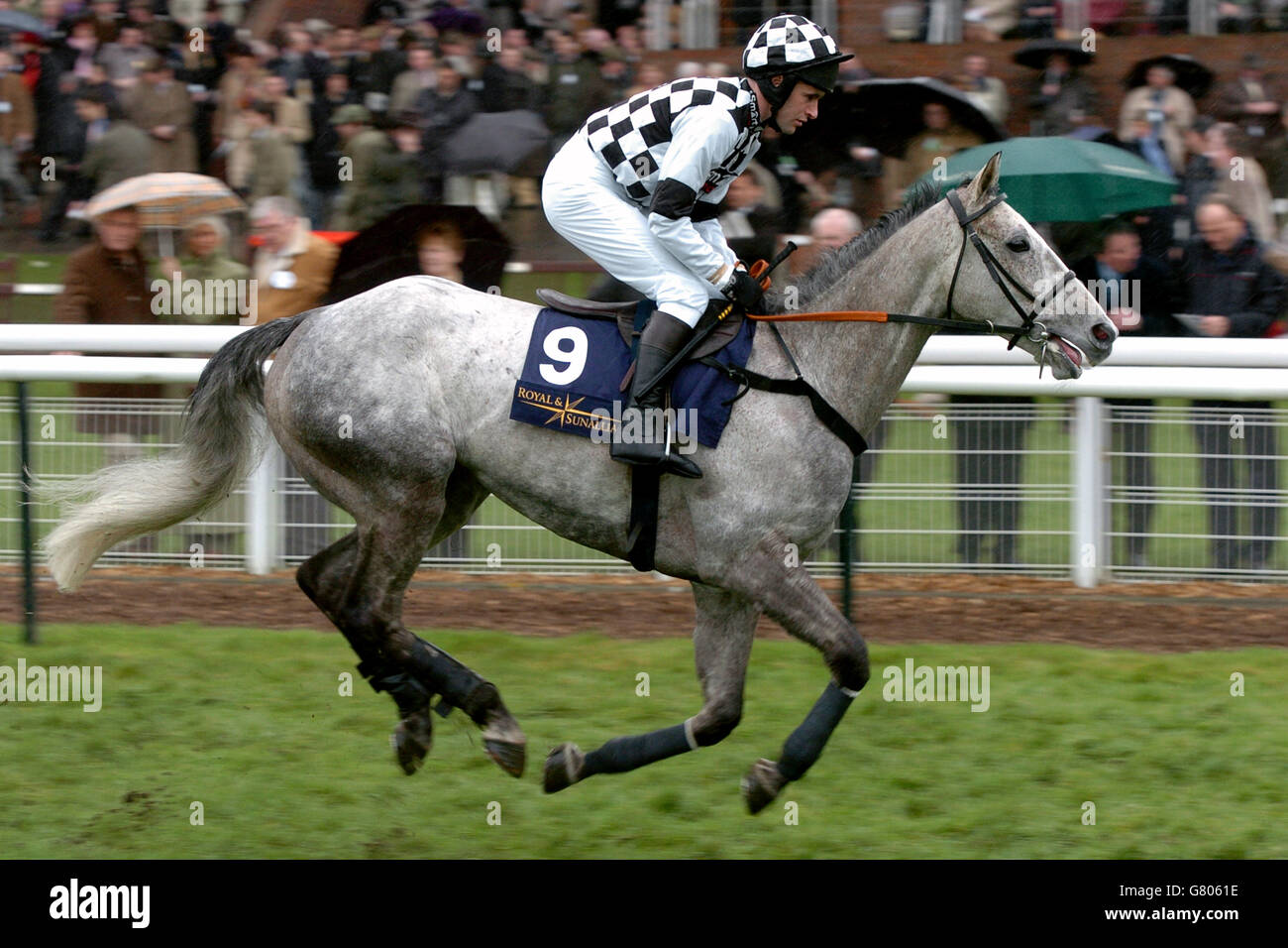 Horse Racing - Cheltenham Festival 2005 - Cheltenham Racecourse Stock ...