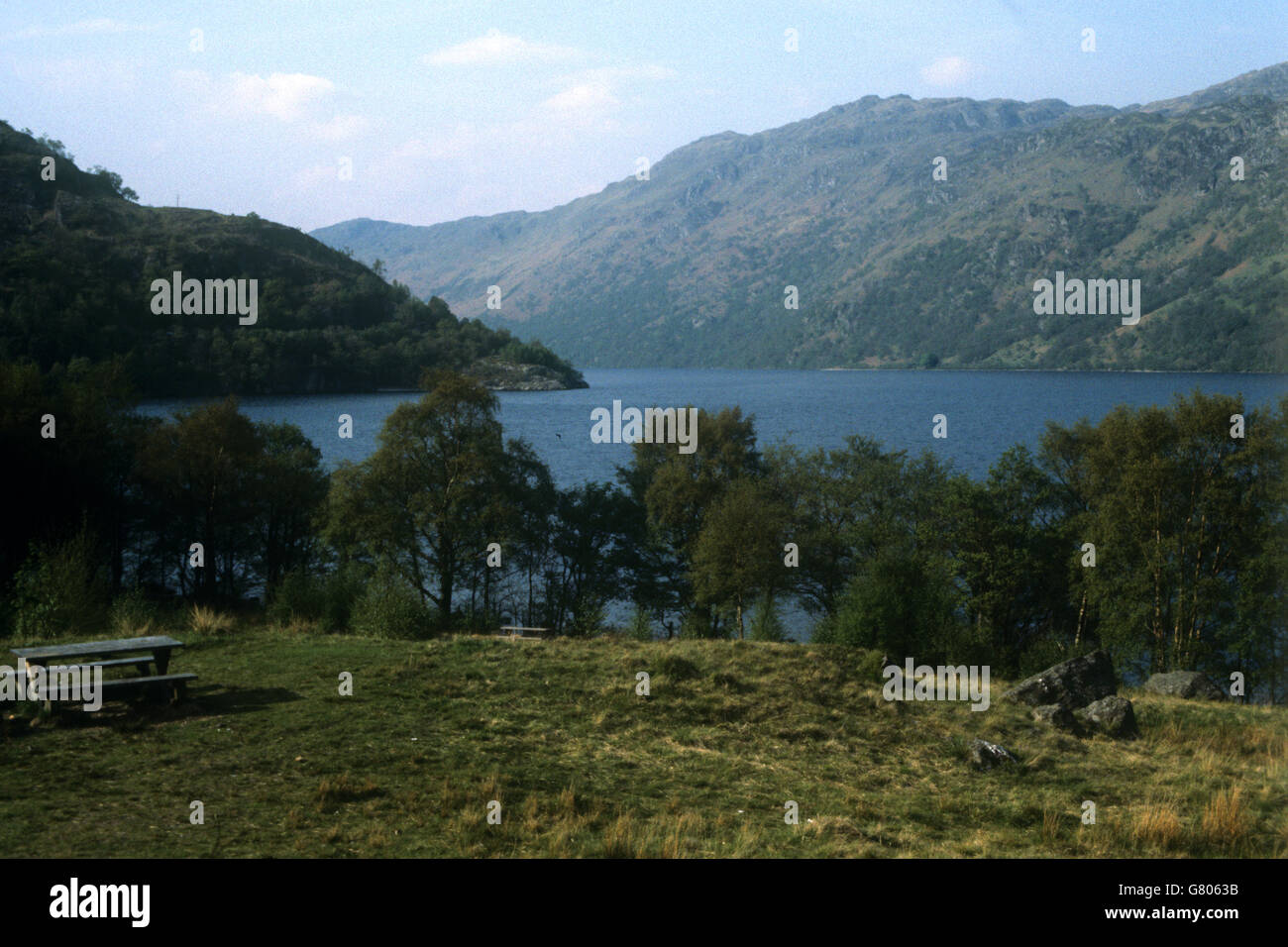 Environment - Loch Lomond - Scotland Stock Photo - Alamy