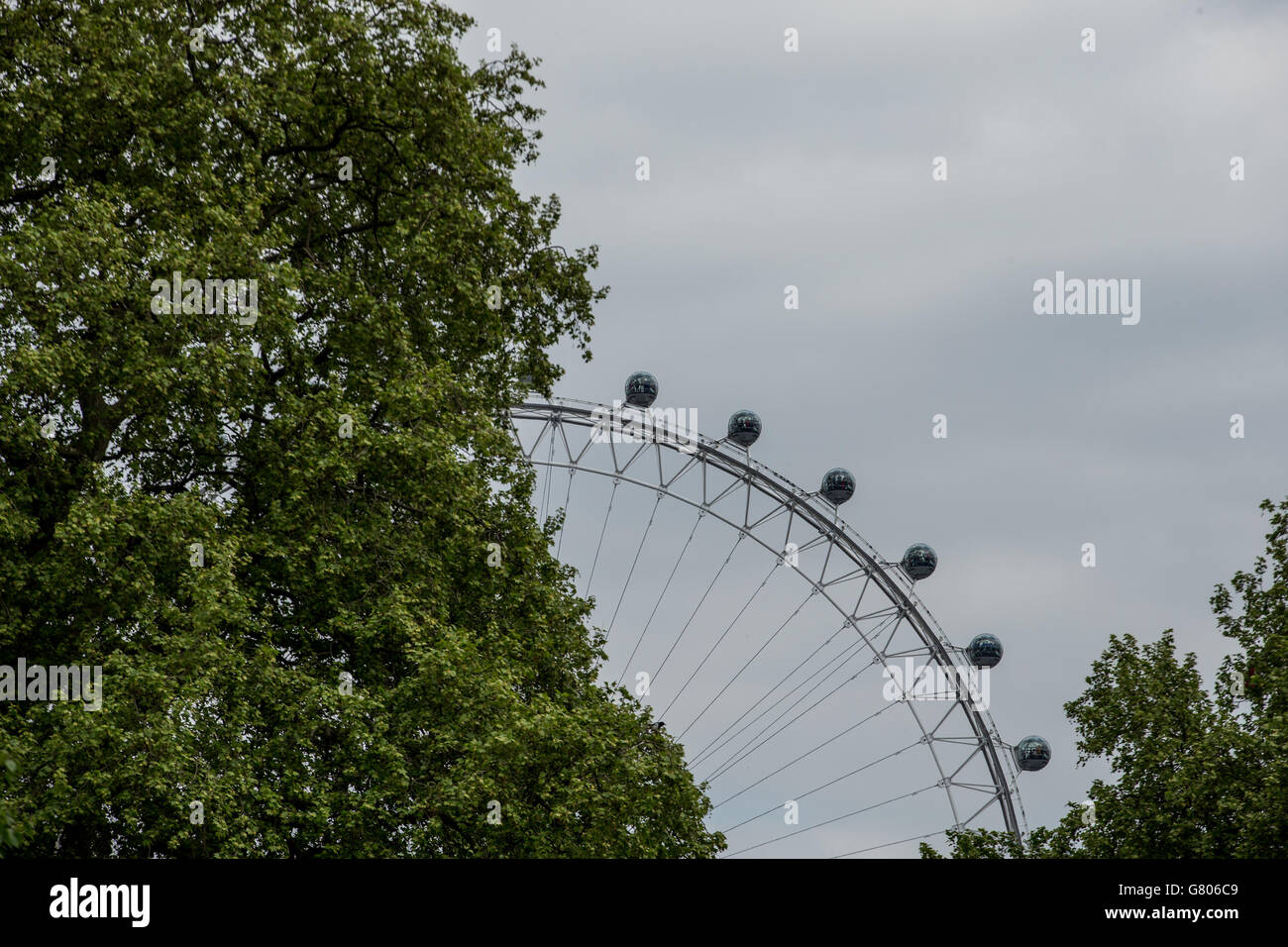 A general view of The London Eye in London through the trees Stock ...