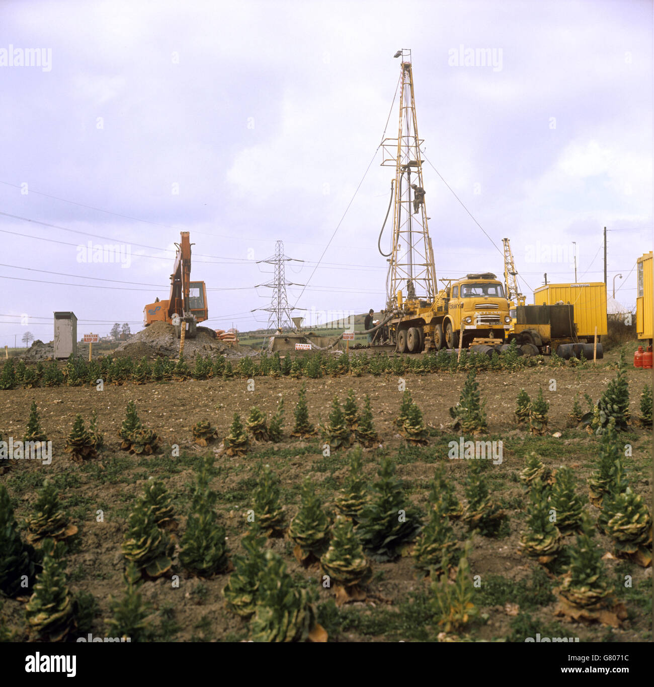 A drilling rig set up beside a field of Brussels sprouts at work on ...