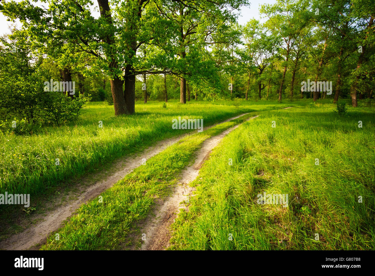 The forest way country park hi-res stock photography and images - Alamy