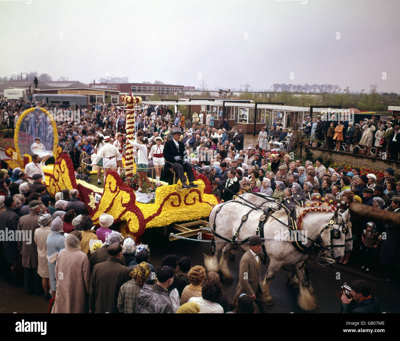 Horses in a procession hi-res stock photography and images - Alamy