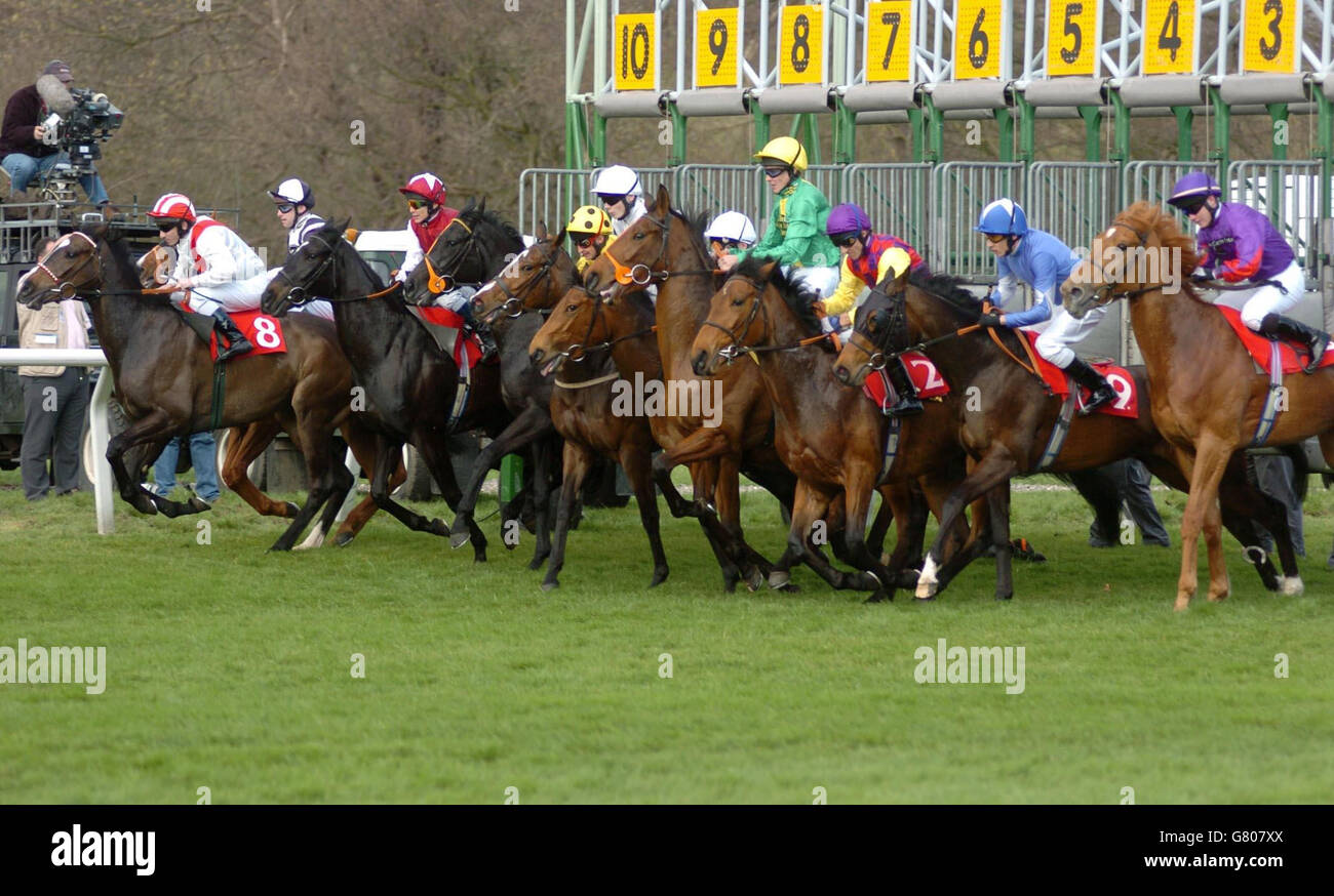 Horse Racing - Coral Rosebery Handicap & Easter Stakes Day - Kempton ...