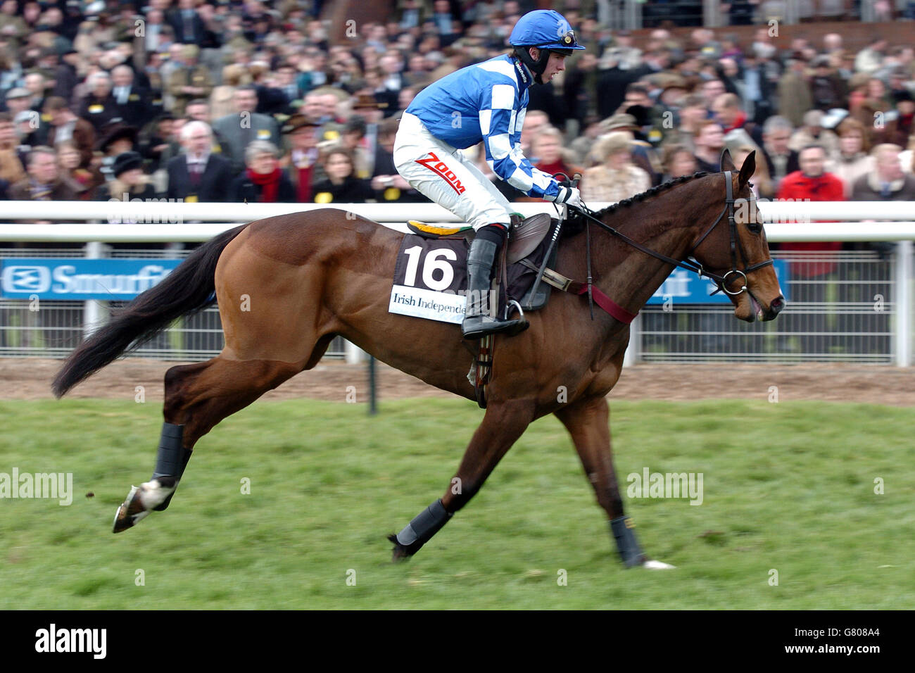 Alan O'Keeffe goes to post on Mambo des Mottes in The Irish Independent ...