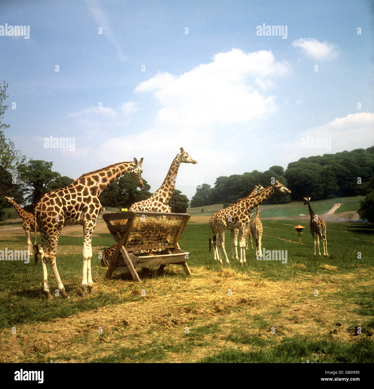 Buildings and Landmarks - Longleat Safari and Adventure Park, Wiltshire ...