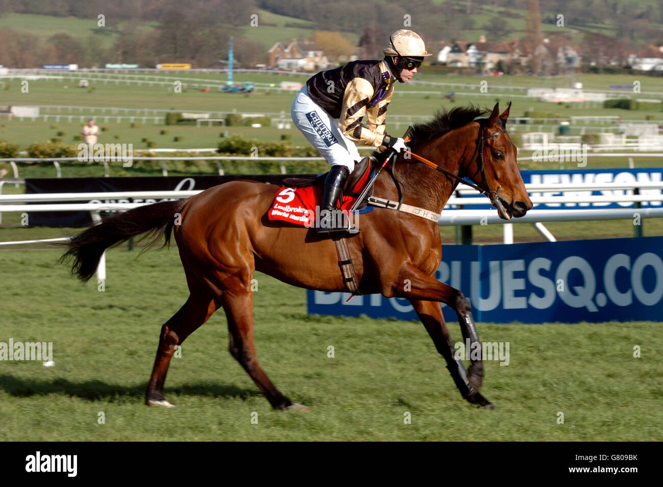 Horse Racing - Cheltenham Festival 2005 - Cheltenham Racecourse Stock ...