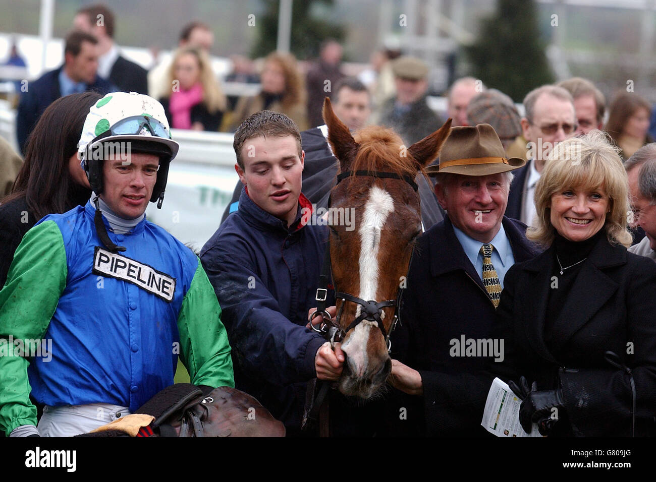 Racehorse trainer martin pipe hi-res stock photography and images - Alamy
