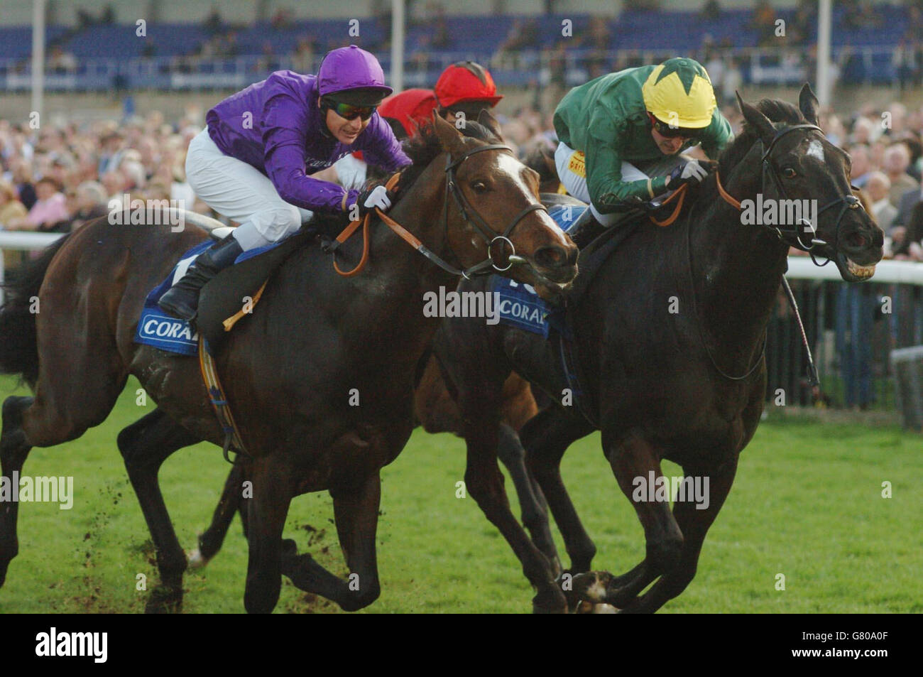 Horse Racing - Coral Rosebery Handicap & Easter Stakes Day - Kempton ...