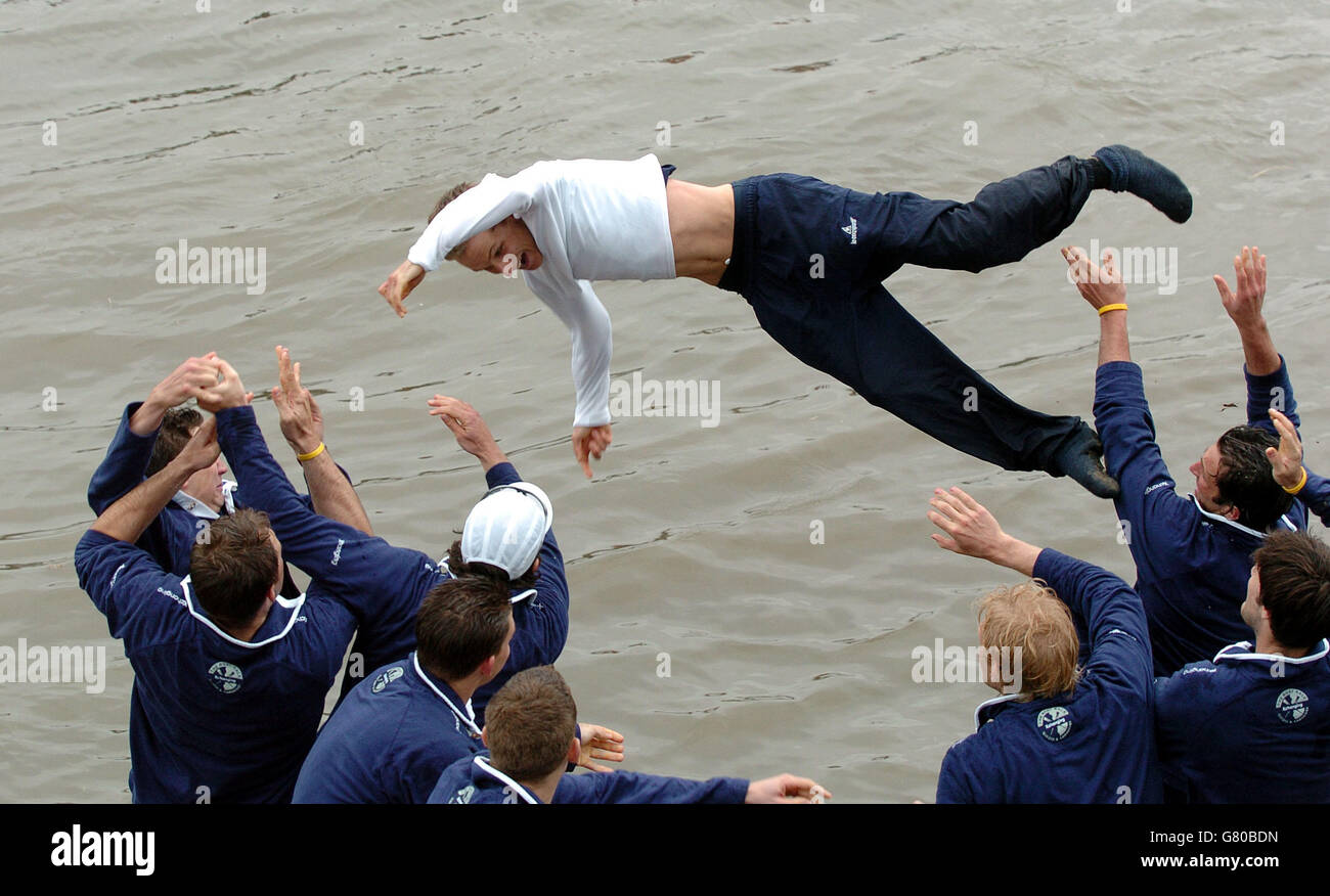 Acer nethercott hi-res stock photography and images - Alamy