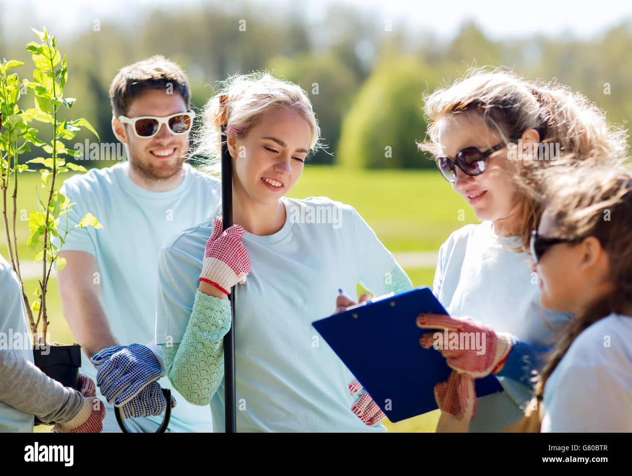 group of volunteers planting trees in park Stock Photo - Alamy