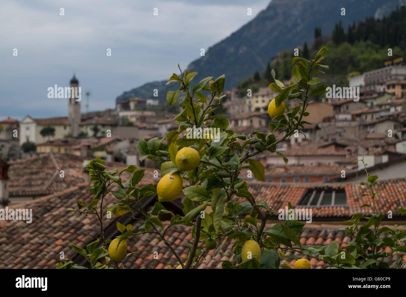 Townscape with lake and mountains hi-res stock photography and images ...