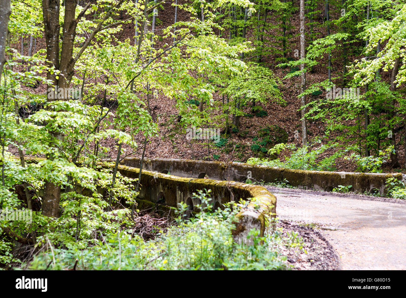 Old concrete bridge in the middle of the forest. road / path in the ...