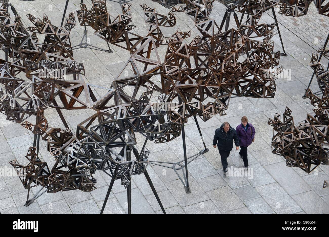 Conrad Shawcross