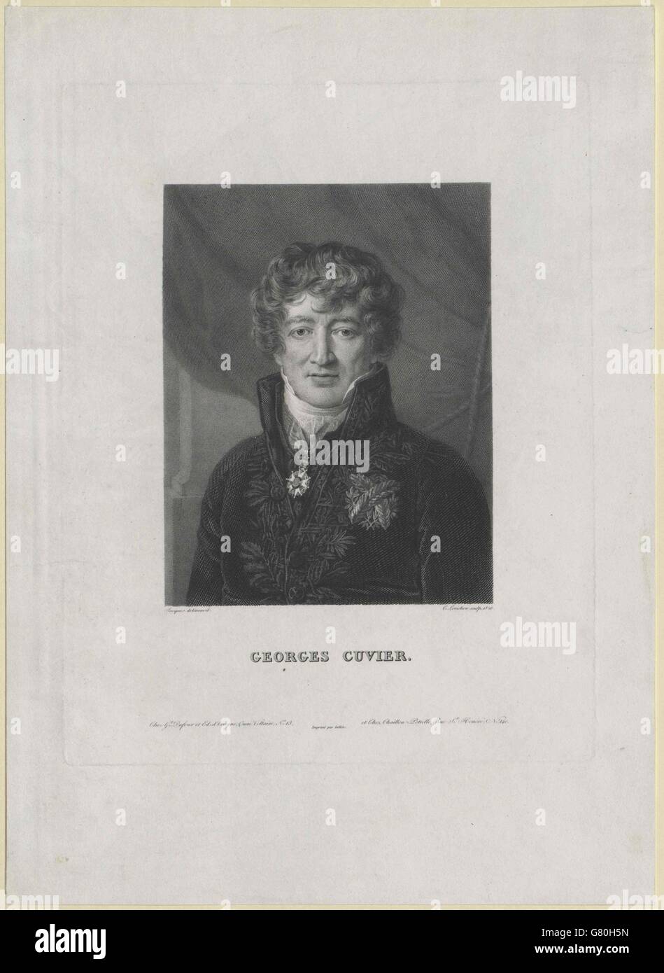 George Cuvier High Resolution Stock Photography and Images - Alamy