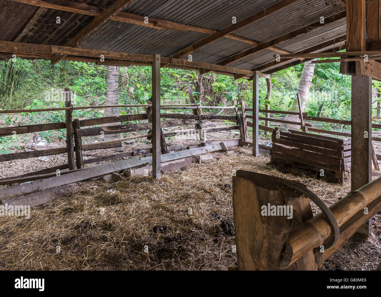 Old wooden stall with hay on the ground for cattel of the local farming ...