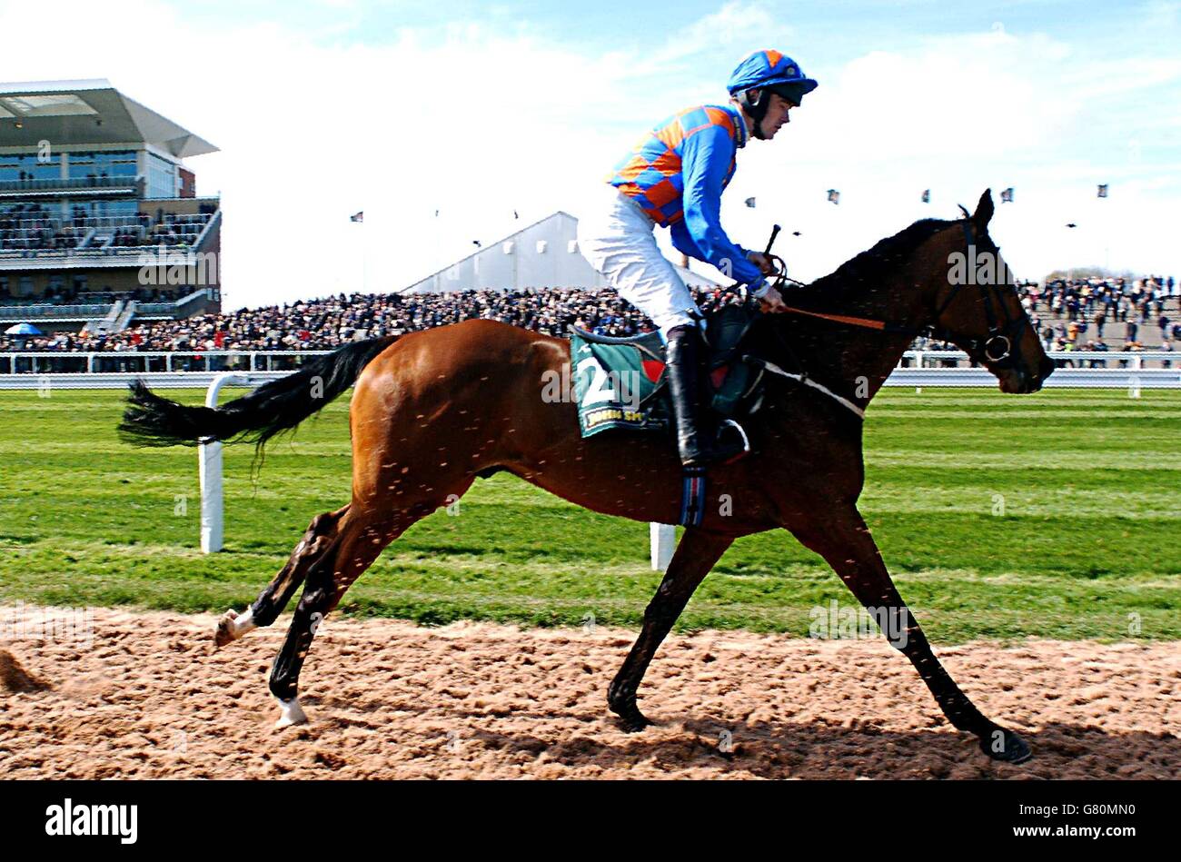 Horse Racing - The John Smith's Grand National Meeting 2005 - Aintree ...