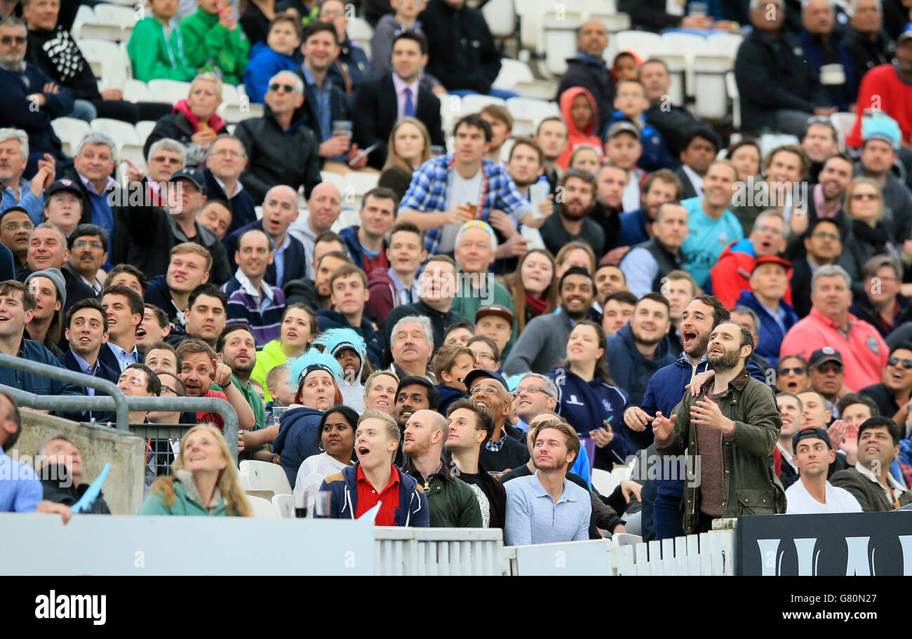 Cricket crowd catch hi-res stock photography and images - Alamy