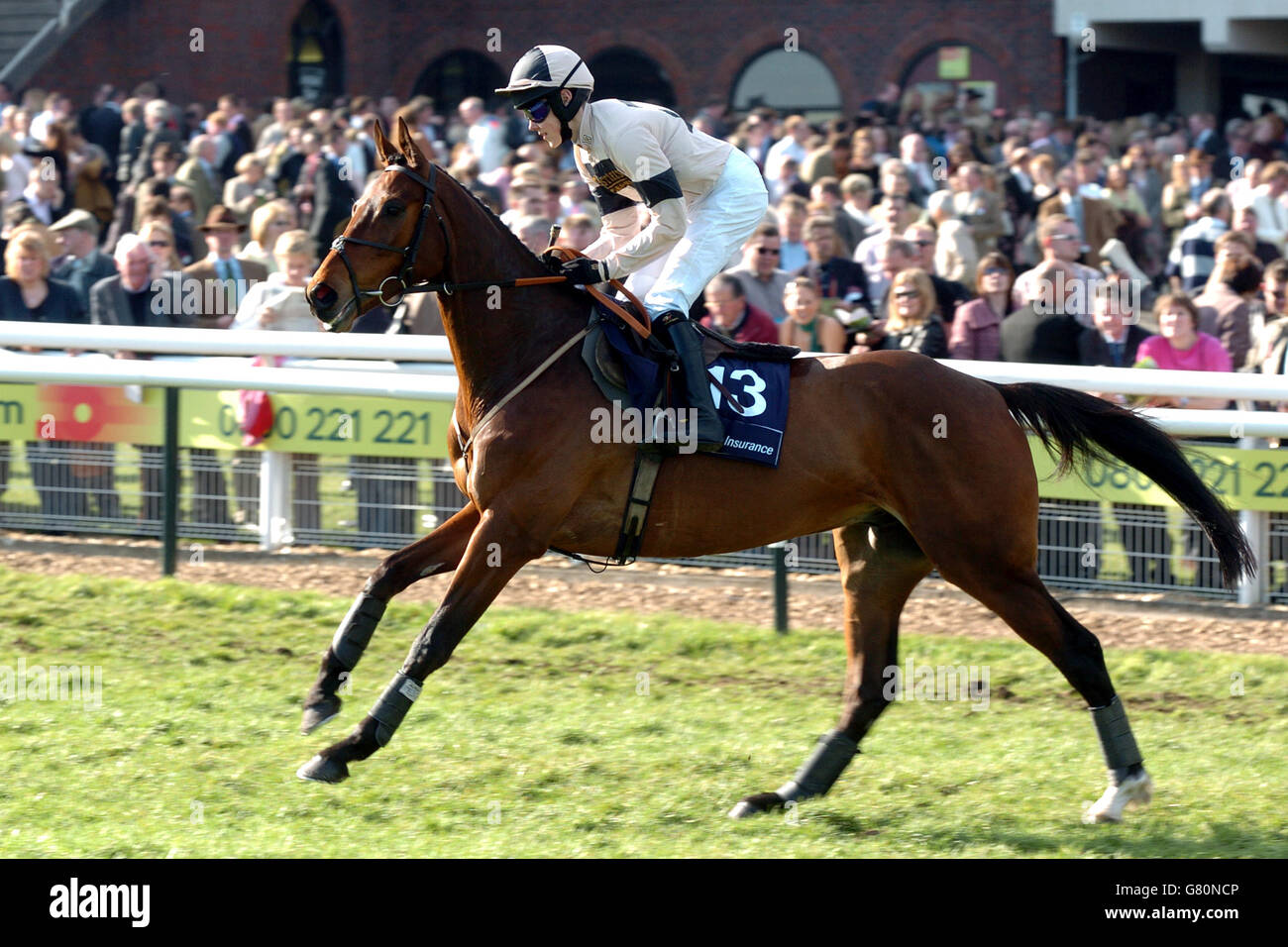 Jockey James Davies riding Senor Sedona goes to post in the Brit ...