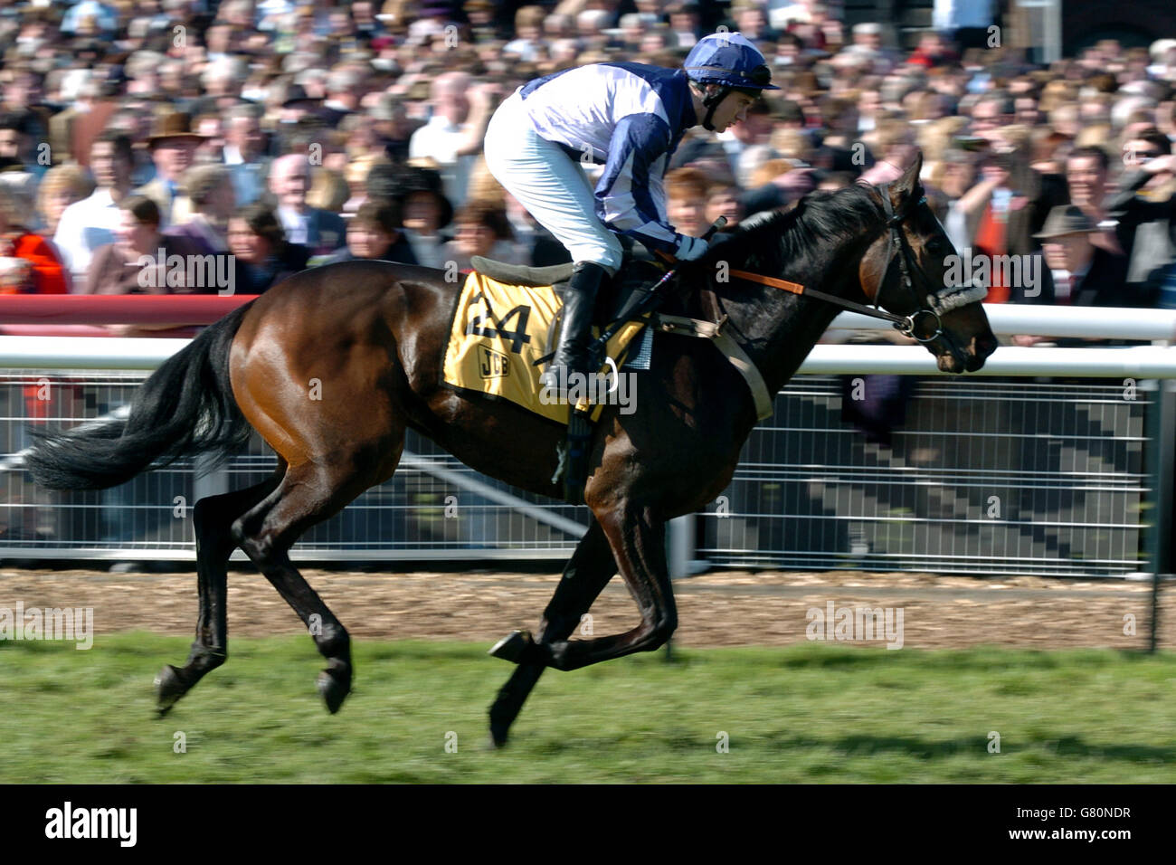 Yankeedoodledandy hi-res stock photography and images - Alamy